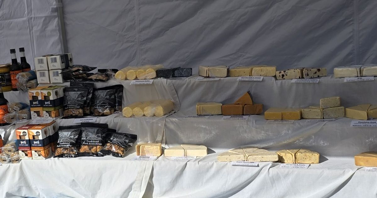 Family Fun Fest | Leeds Museums and Galleries | Days out and exhibitions