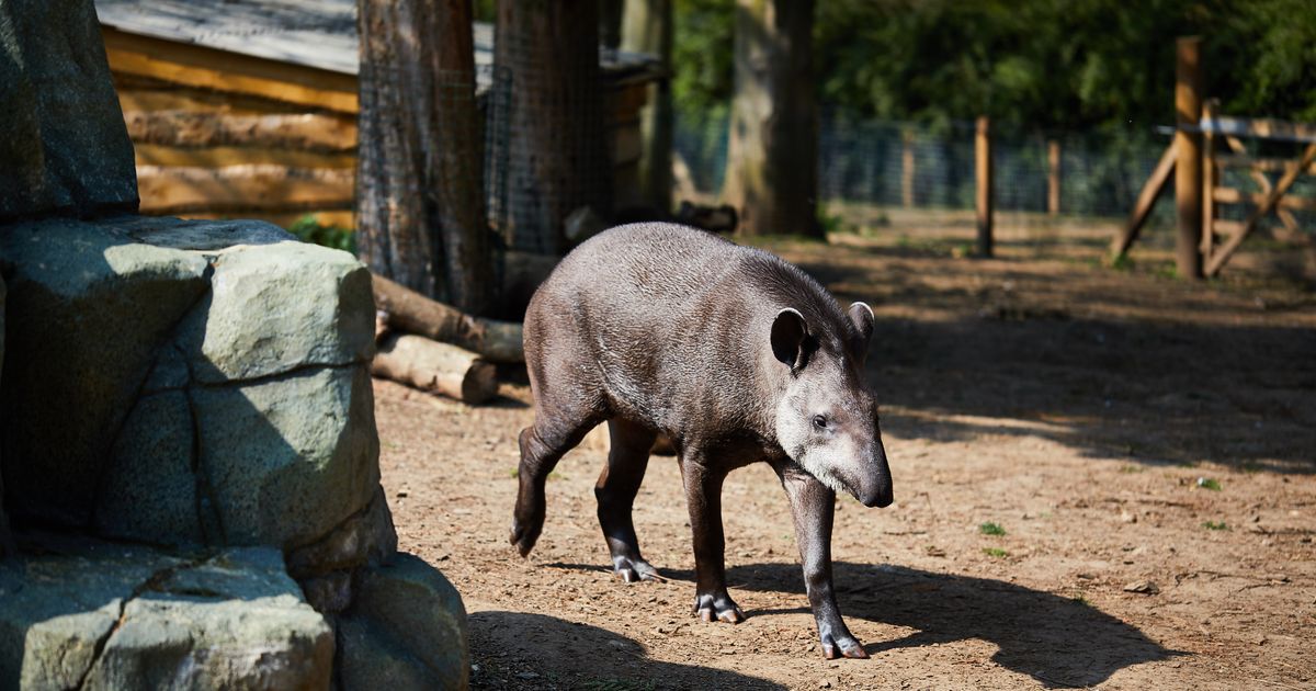 Wildlife World zoo | Leeds Museums and Galleries | Days out and exhibitions