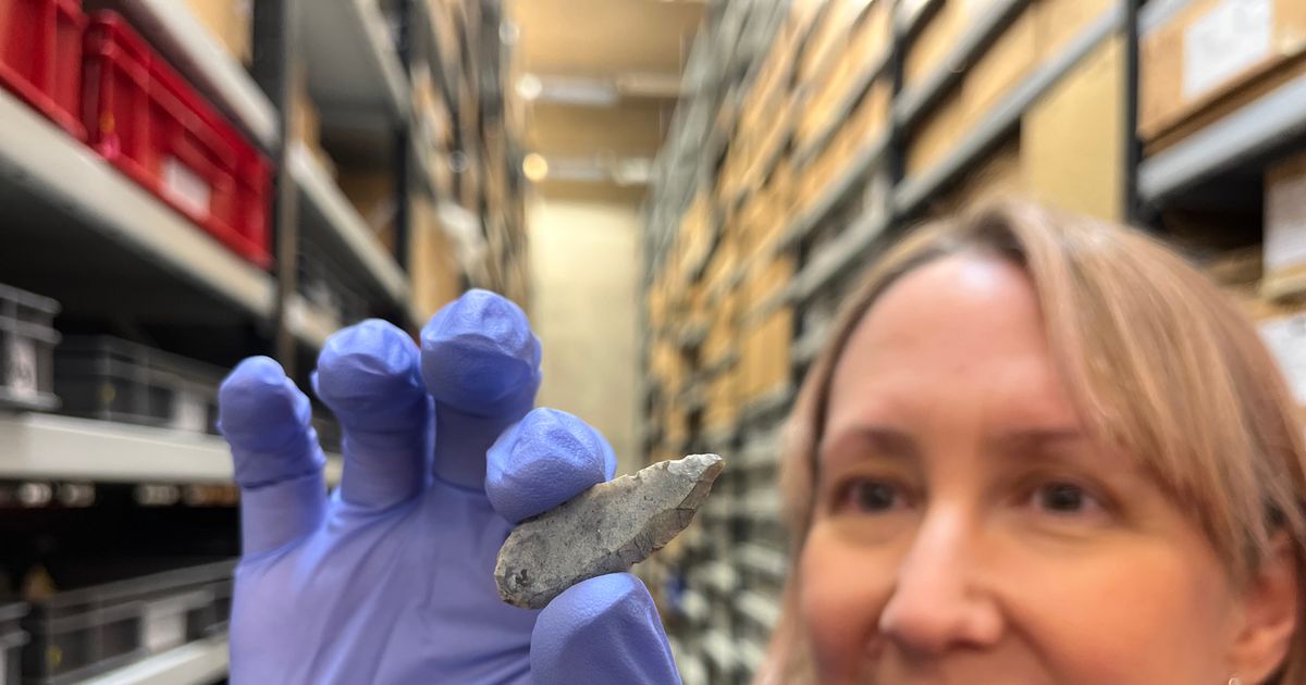 News | Ancient discoveries reveal fascinating highway through history ...